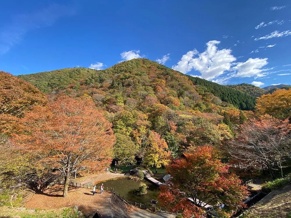 Surusumi-no-Sato Park | Meiho Sightseeing Navigation | Meiho Tourist ...
